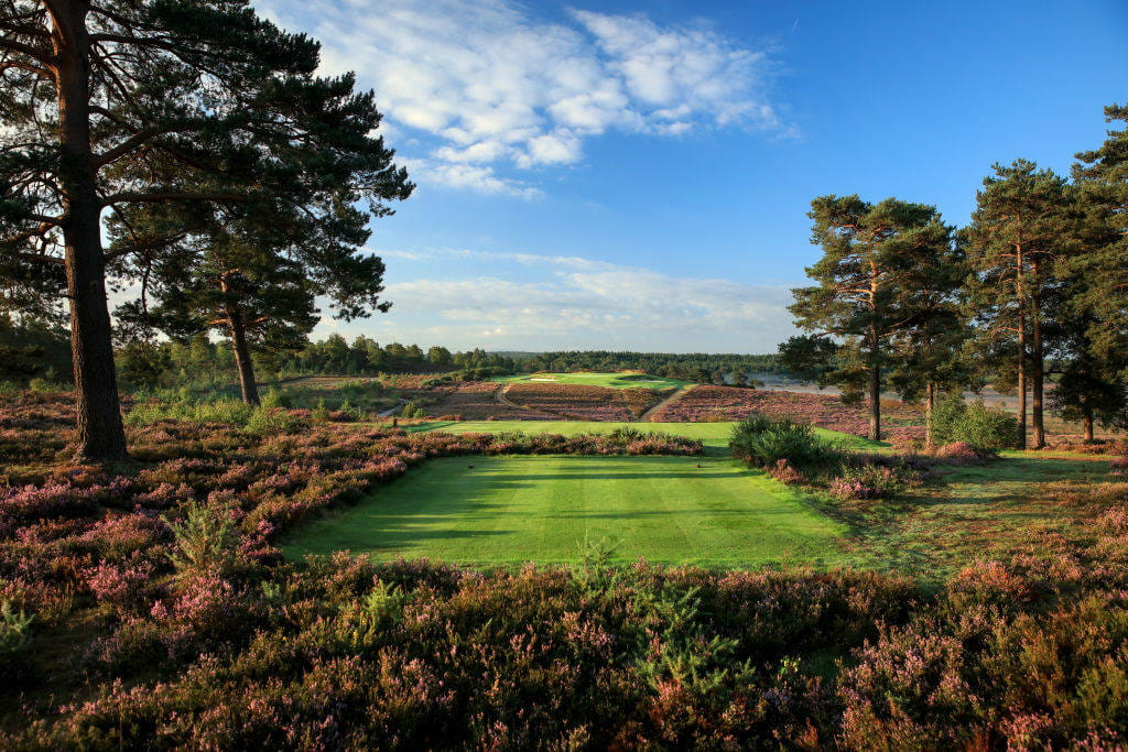 Hankley Common named 2023 Qualifying Venue | AIG Women's Open